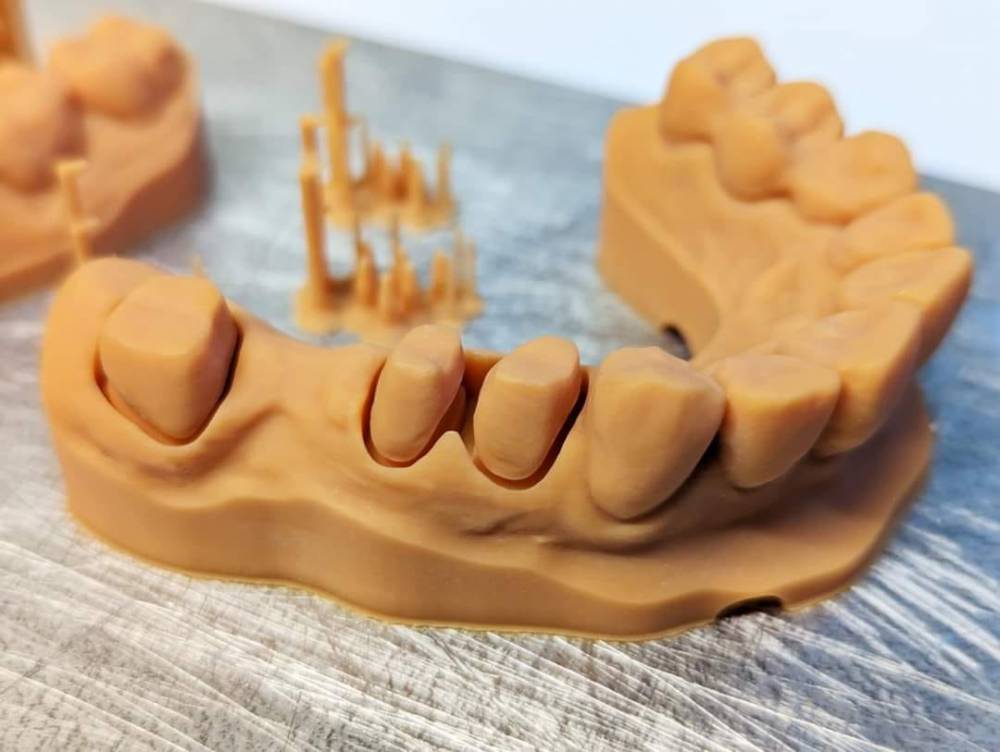 BlueCast FAST DENTAL MODEL