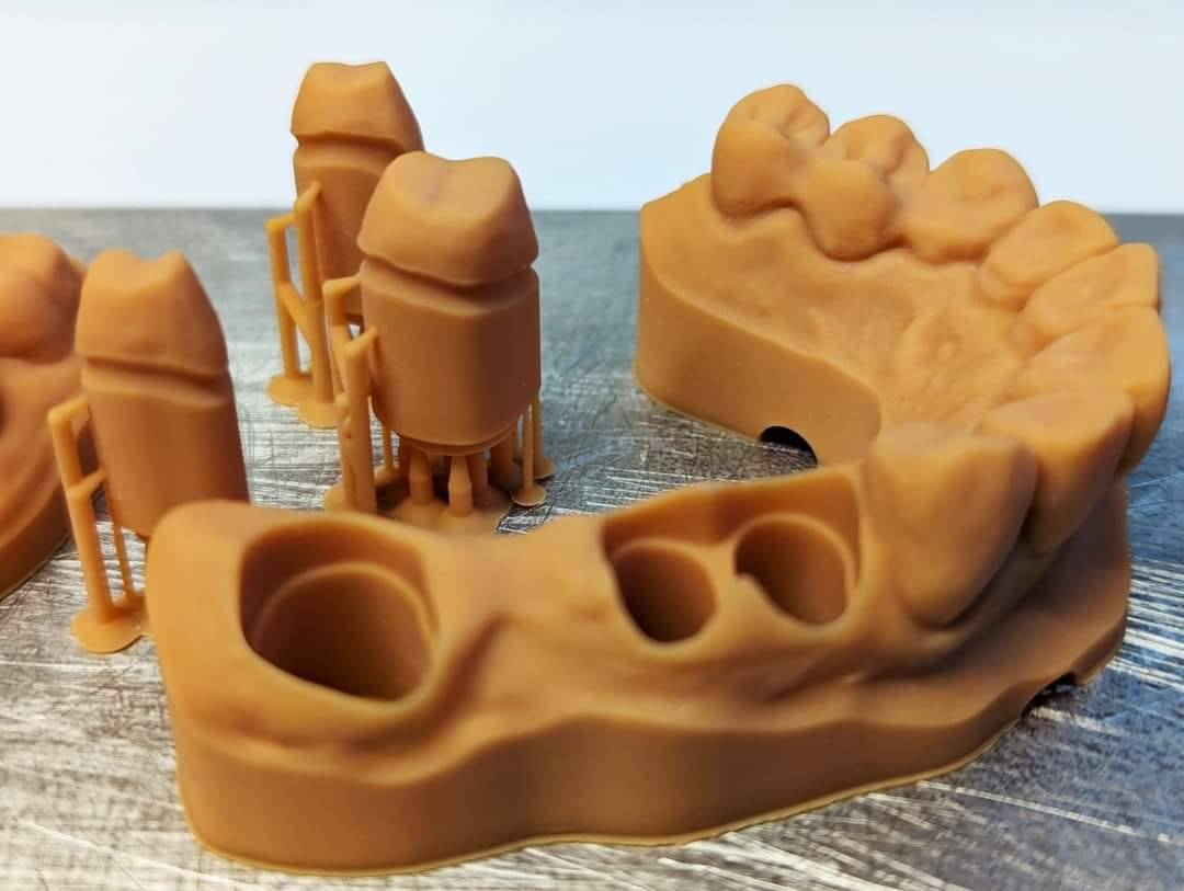 BlueCast FAST DENTAL MODEL